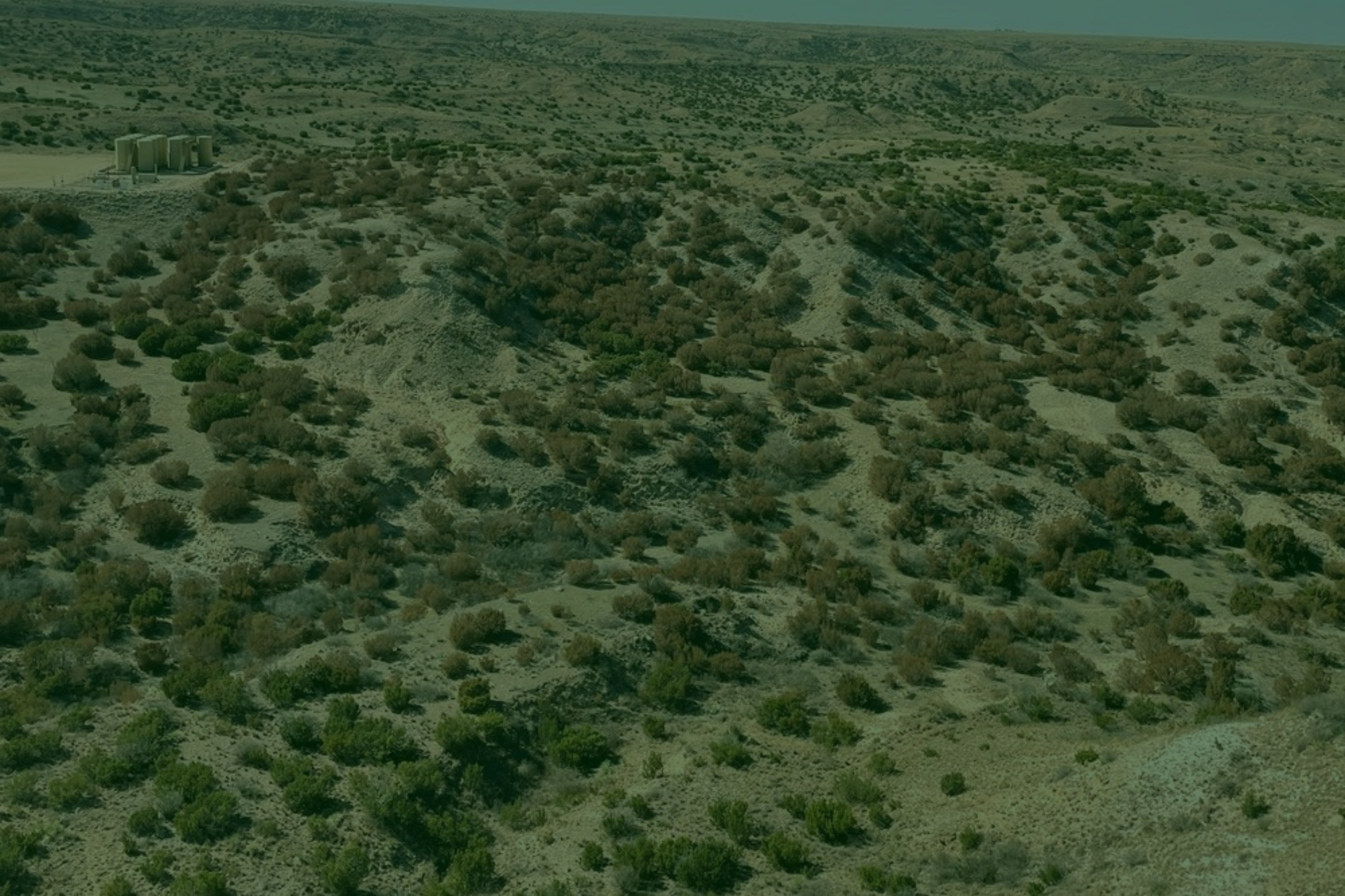 Brush Bullet - Revolutionizing Herbicide Application